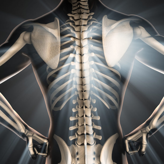 You Get A New Skeleton Every 10 Years - Debi Robinson Wellness